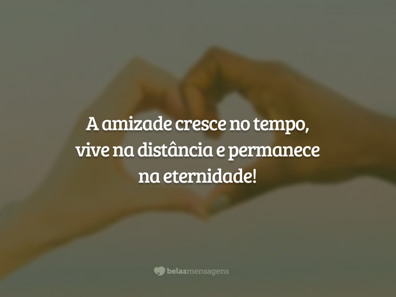 100 frases de amizade que aproximam melhores amigos