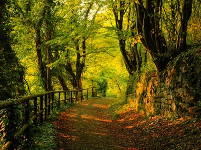 Mensagens sobre a Natureza - Belas Mensagens