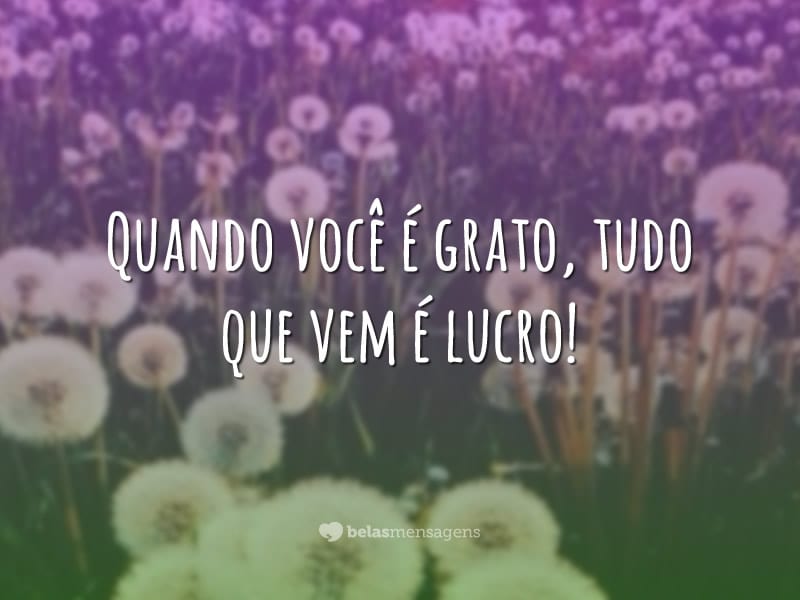 Frases de Gratidão - Belas Mensagens