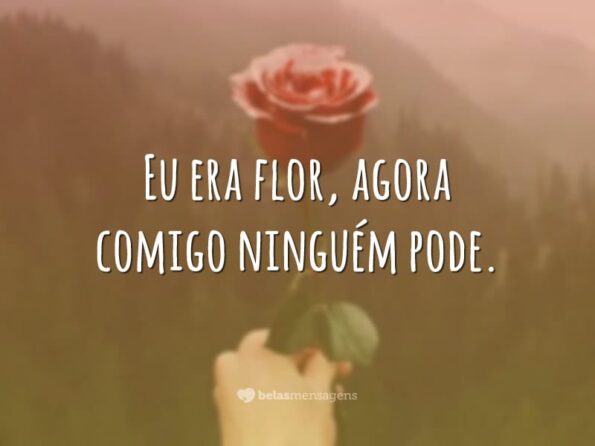 50 frases de flores que trazem muita leveza ao seu dia