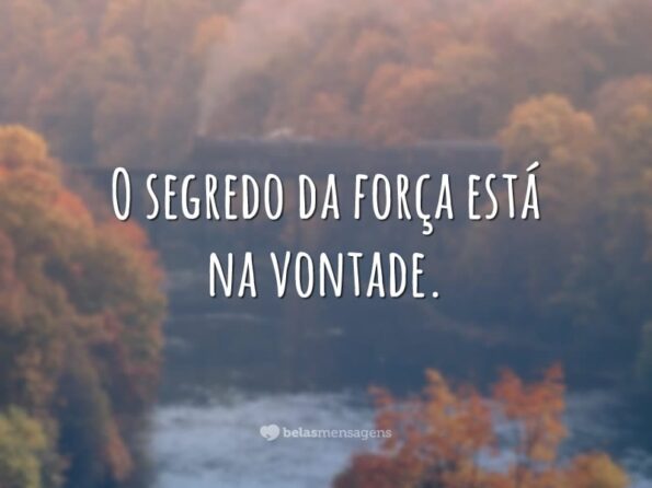 30 frases de força de vontade para você lutar pelos seus sonhos com fé