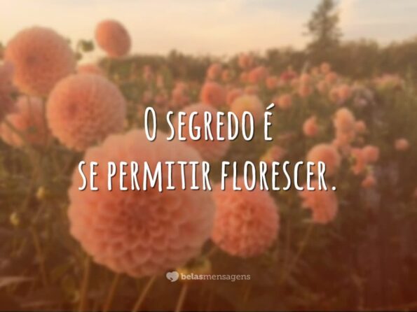 50 frases de flores que trazem muita leveza ao seu dia