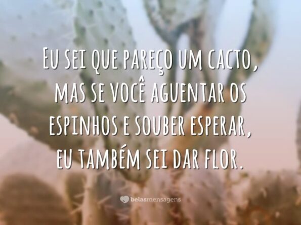 50 frases de flores que trazem muita leveza ao seu dia