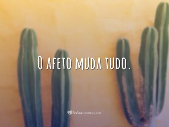 30 frases de afeto e carinho que são como um abraço apertado