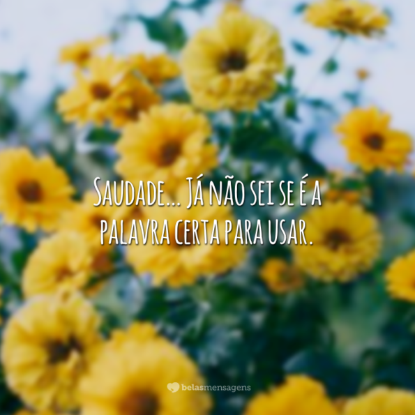 52 frases de saudade eterna de quem já partiu e faz muita falta