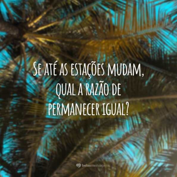 50 frases legais para fotos para brilhar ainda mais suas postagens