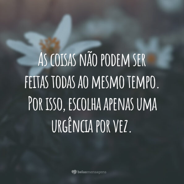 40 frases de prioridade para escolher qual caminho você vai traçar