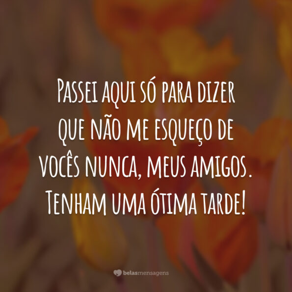 50 frases de boa tarde para amigos cheias de positividade