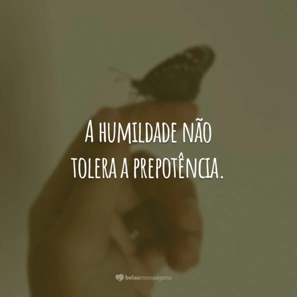 50 frases de humildade para status que ensinam a evoluir com modéstia