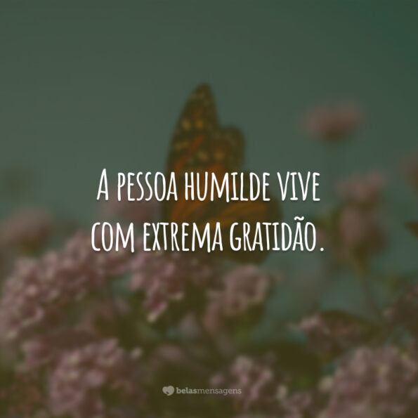50 frases de humildade para status que ensinam a evoluir com modéstia