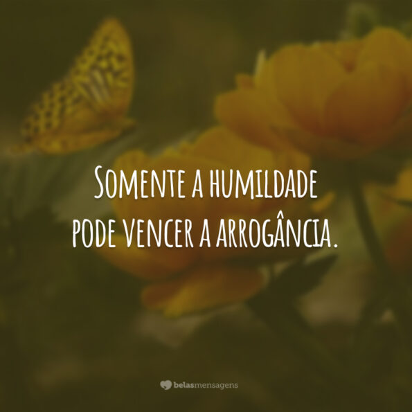 50 frases de humildade para status que ensinam a evoluir com modéstia