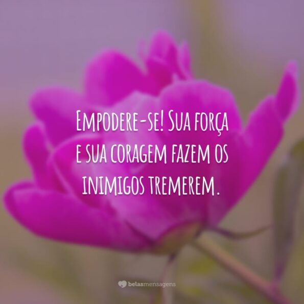 65 frases de força e coragem para quem deseja ser um vencedor