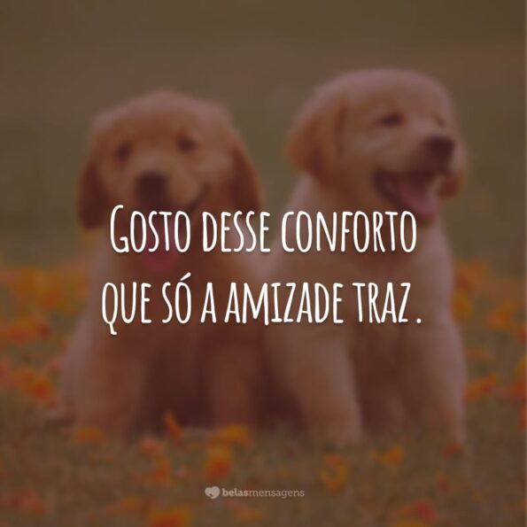 50 Frases Curtas De Amizade Para Homenagear Os Amigos