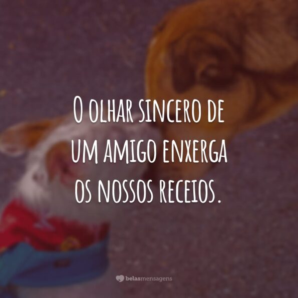 50 frases curtas de amizade para homenagear os amigos