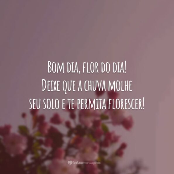 60 frases de bom dia com flores para uma manhã perfumada